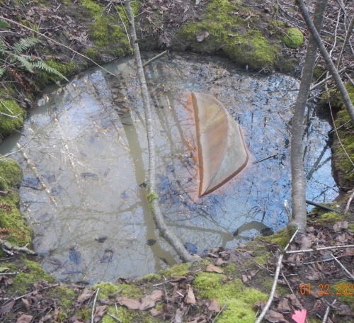 Ward Environmental | Portland, OR